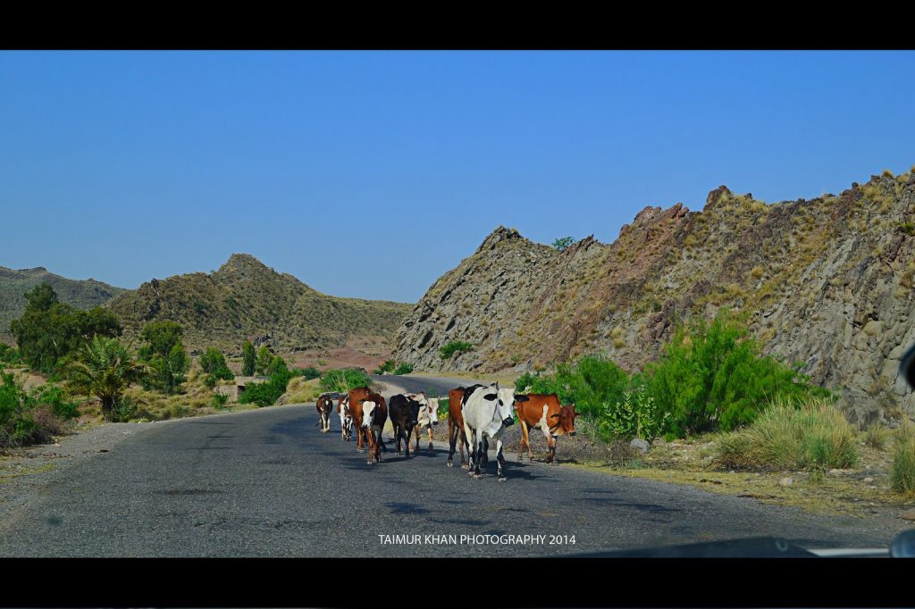 Bannu - Home of Pakhtoons - History Pak